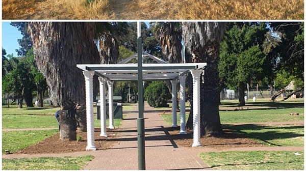 Bloemfontein se Kingspark-roostuin binnekort heropen | OFM