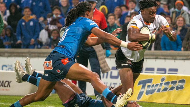 Cheetahs target 80 minute performance against the Bulls | OFM