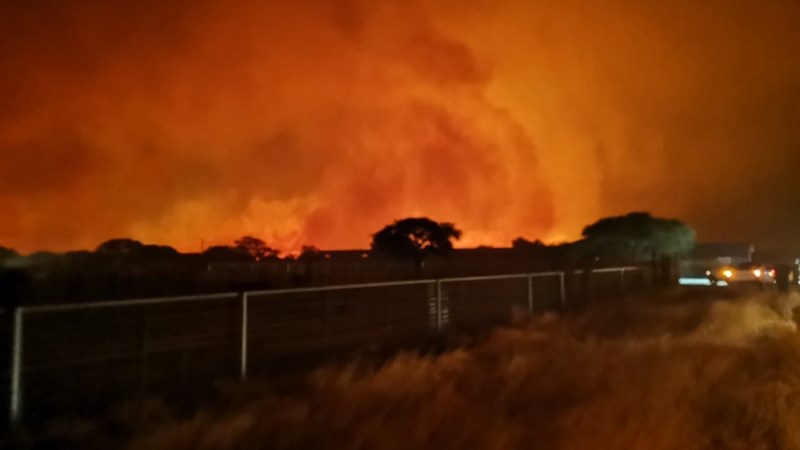 FS warned of possible veld fires | OFM