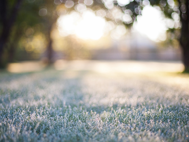 Wydverspreide en erge ryp nog nie verwag | OFM