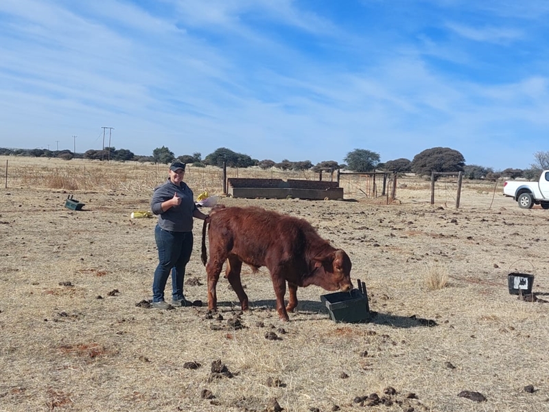 Vroue in Landbou: Vir Danielle is boer-wees ’n roeping, nie ’n beroep ...