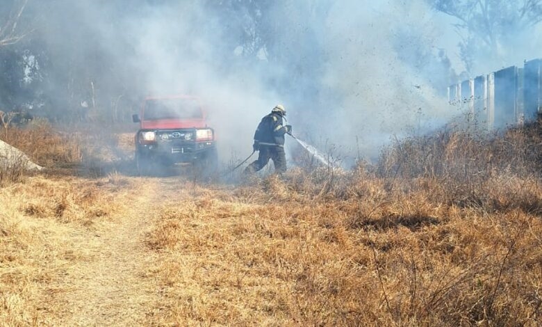 PAWS Potch ondersoek diere ná brand | OFM