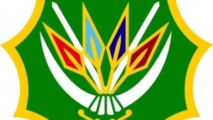 SANDF engineers to assist in bridge-building | OFM