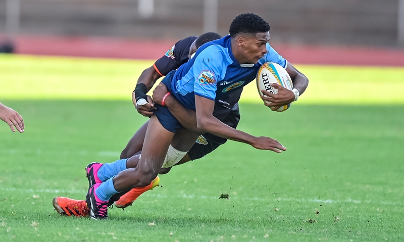 Ixias continue their purple patch | OFM