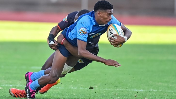 Ixias continue their purple patch | OFM