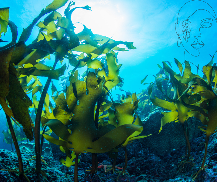 Weird Wide Web – Seewiere in jou bad kan glo jou lewe verleng | OFM