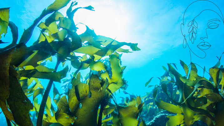 Weird Wide Web – Seewiere in jou bad kan glo jou lewe verleng | OFM