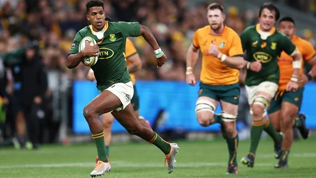 Six players join the Springboks in London | OFM