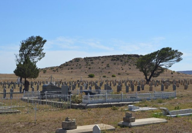 Boereoorlog-dag vir Springfontein beplan | OFM