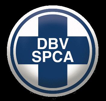 NSPCA investigates condition of horses at Potch military base | OFM