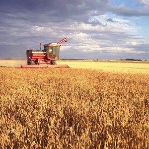 Vrystaat Landbou bekommerd oor geweld tydens diensleweringsoptogte | OFM