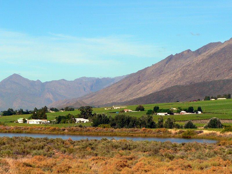 Hoë wanvoeding in De Doorns | OFM