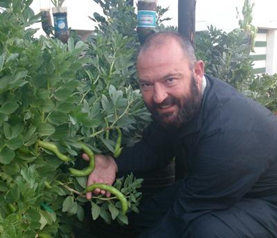 Groentetuin-projek deel van Sadek navorsing | OFM
