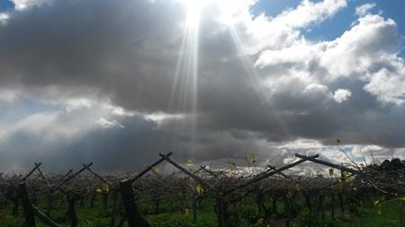 Video: Snow reported at Lady Grey | OFM