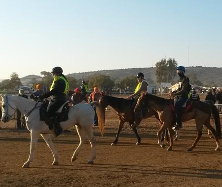 Video: Last day of Fauresmith endurance race | OFM