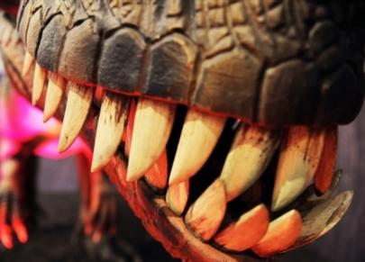 Rare dinosaur species found in Tanzania | OFM