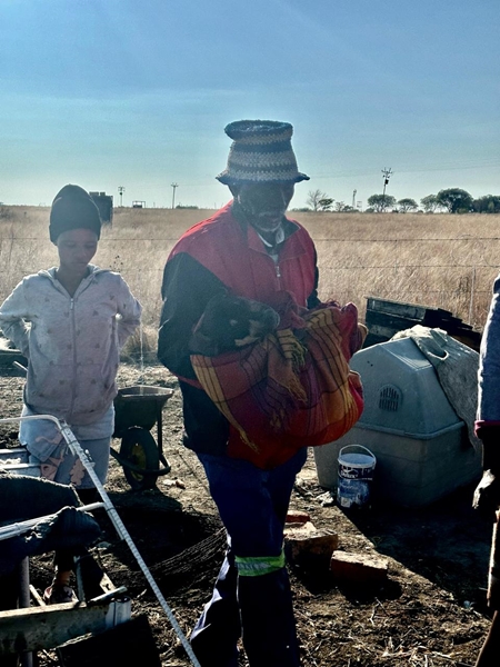 Bloemfonteiner in hegtenis ná hy hond lewend brand | OFM