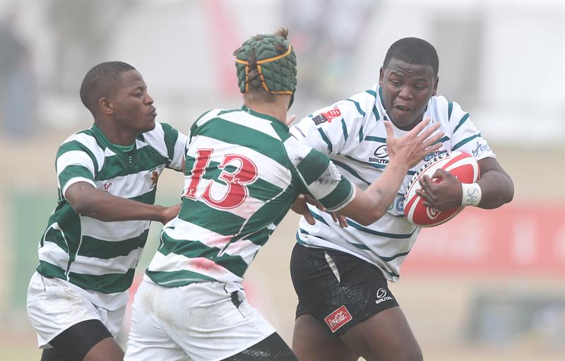 WP, Blue Bulls and Border start Craven Week on a high | OFM