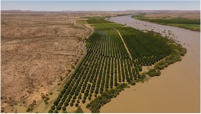 ‘Een groot reënbui in Noord-Kaap kan vloedwalle laat meegee’ | OFM