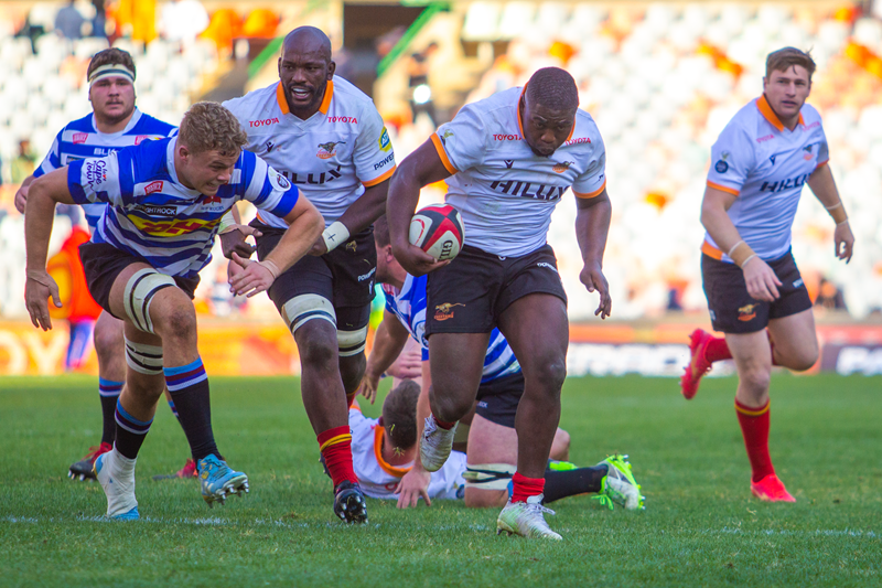 Cheetahs confident ahead of the Sharks | OFM Cheetahs confident ahead of the Sharks | OFM