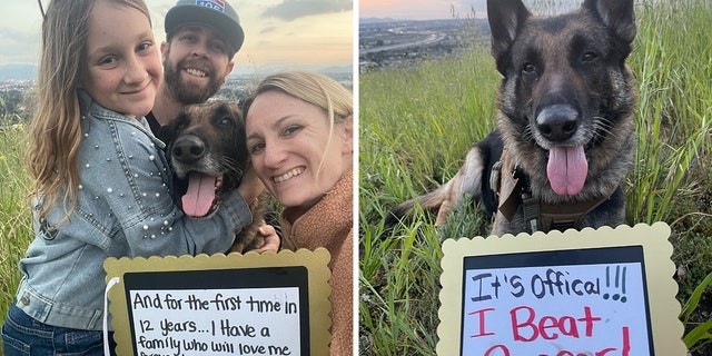 Feel Good Friday: Vrou red hond met hartseer oë soos hare | OFM