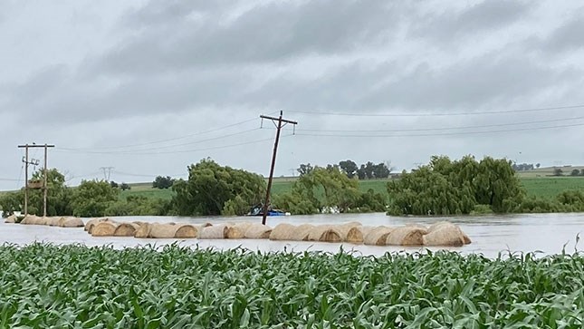 'Too much rain can harm the environment' - Moshoaliba | OFM