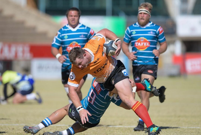 Dawson officially back at the Cheetahs | OFM