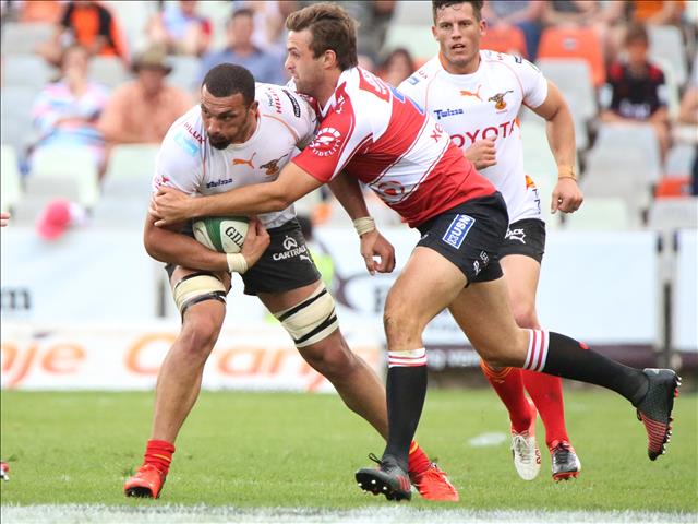 FS Cheetahs expected to remain unchanged | OFM