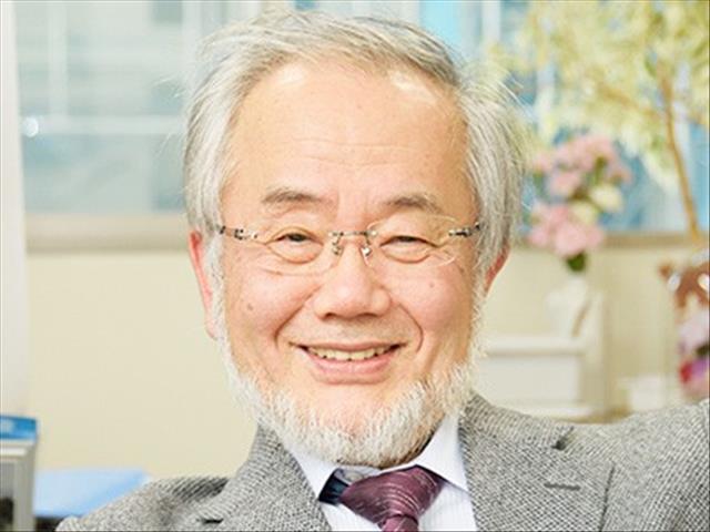 Japanese scientist wins 2016 Nobel Prize in physiology or medicine | OFM