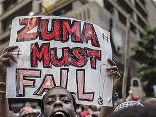'Zuma must fall' banner still under investigation - De Lille | OFM