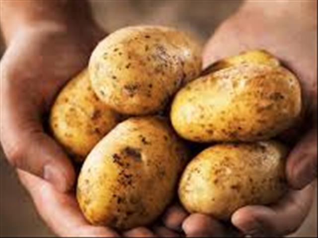 Potato prices more than doubled in 2016 | OFM