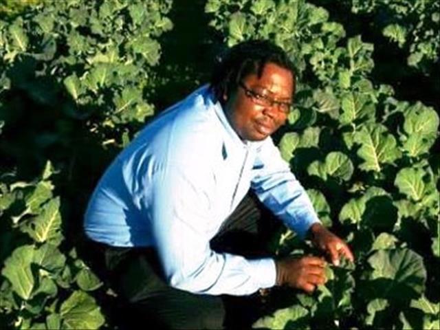 Zim men create thriving farm on "useless land" | OFM