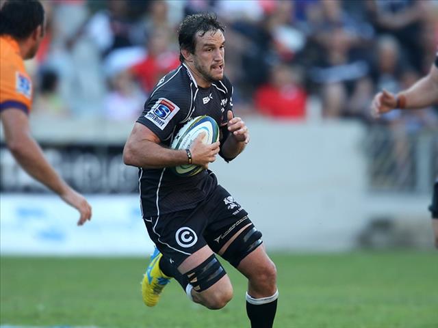 Daniel to captain Sharks against FS Cheetahs | OFM