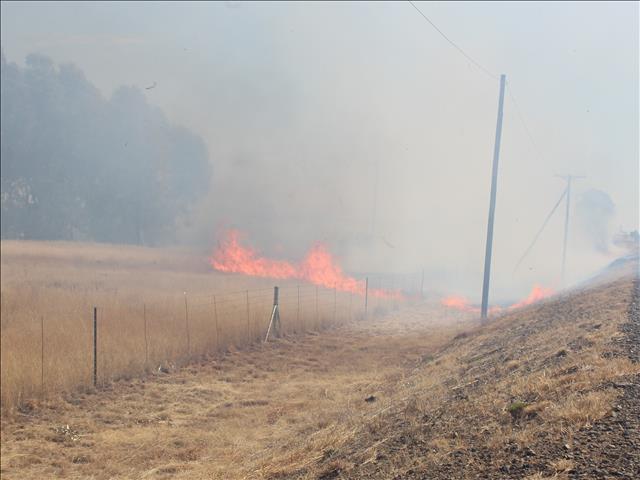VIDEO: Veld fires rage outside Petrusburg | OFM