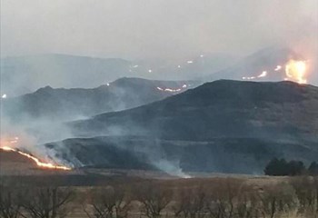 Farm land destroyed in fire | OFM