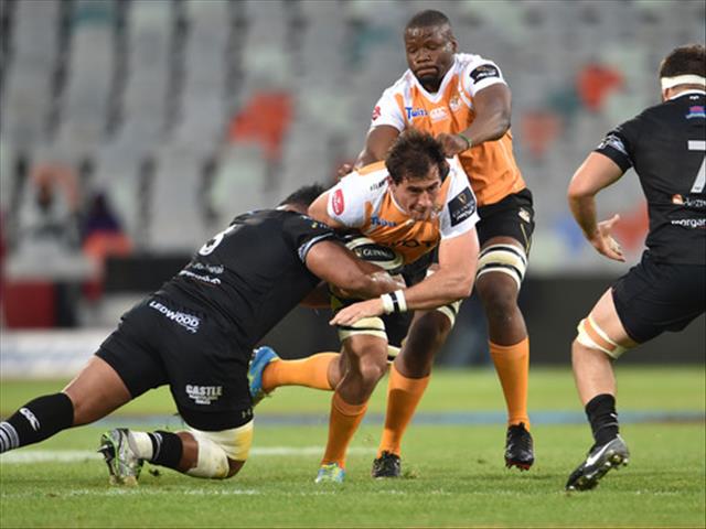 Cheetahs name squad for Welsh and Scottish tour | OFM