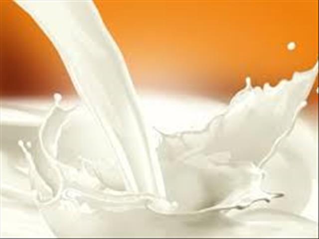 Dierevriendelike Nederlandse melkplaas mik om vars suiwelprodukte te ...
