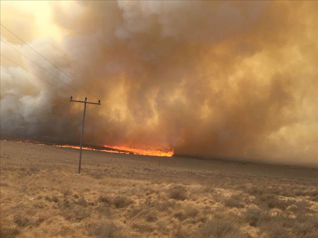 WATCH: Seven wildfires raging across Central SA | OFM