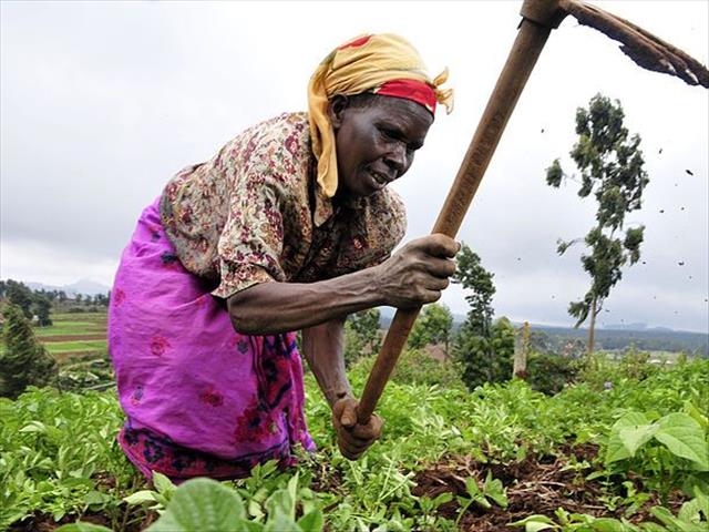 Landbounuus-podcast: 'Geen ondersteuning' vir kleiner skaal boere nie | OFM