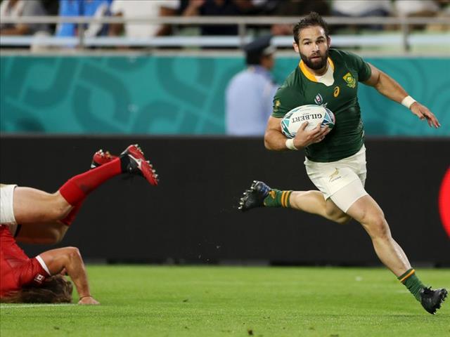 Springbok try nominated for best of the year | OFM