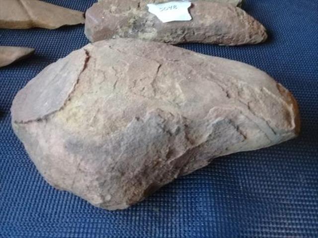Fossils of humanoids found in Mpumalanga | OFM