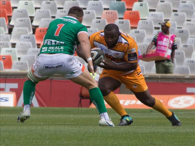 Cheetahs confident about Nche and Marais | OFM