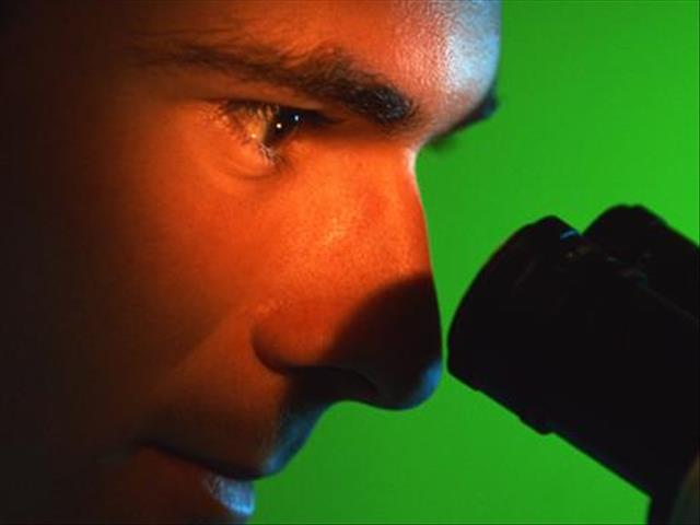 Young scientists represent SA at Kenya science and engineering fair | OFM