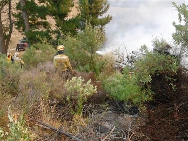 More veld fires reported | OFM