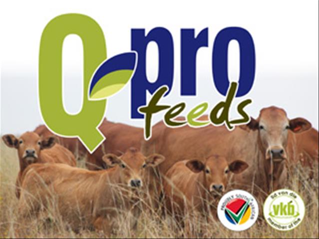 QPro Feeds - Uitvoerende Hoof, Jaco Viljoen | OFM