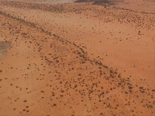 Noord-Kaapse boere in die Springbok-gebied benodig skenkings om te ...