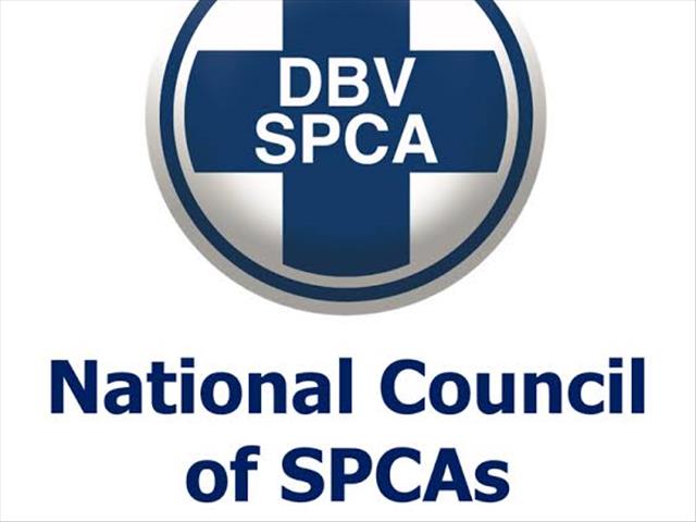 NDBV se klagtes oor omstrede vragskip vir skape ingedien | OFM