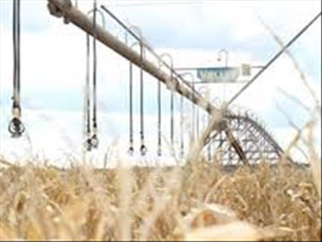 #Covid19 verander dalk regering se siening van grondhervorming | OFM