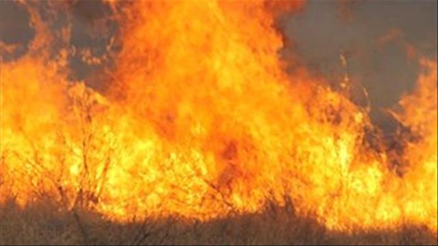 VL waarsku oor moontlike veldbrande | OFM