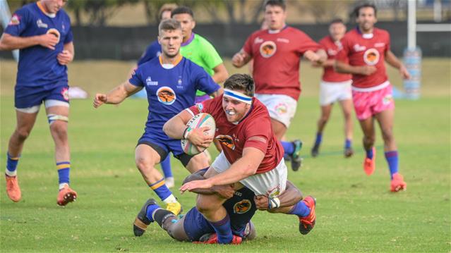 Shimlas beat Wits for second win | OFM